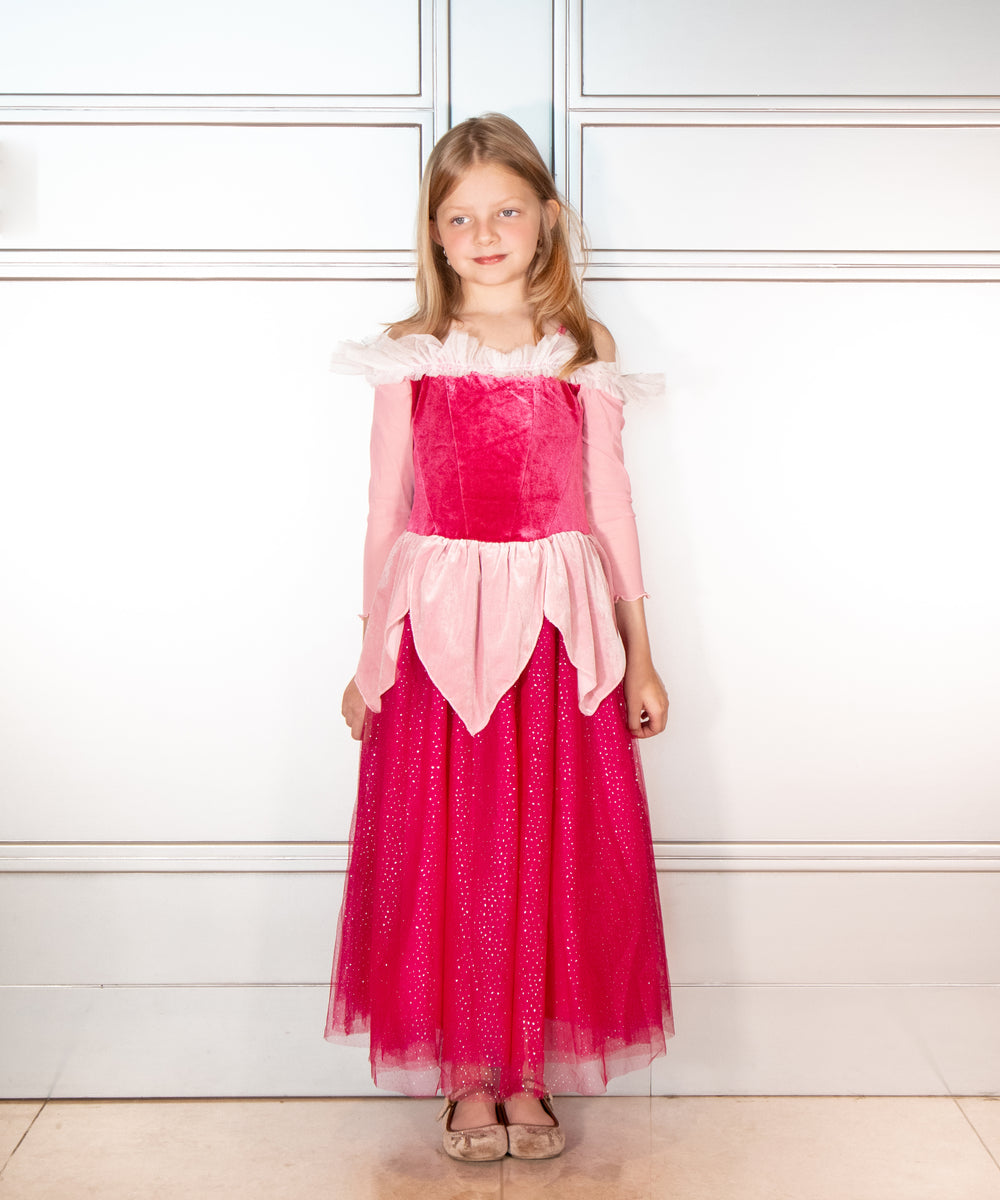 The Sleeping Princess Dress – Joy Costumes